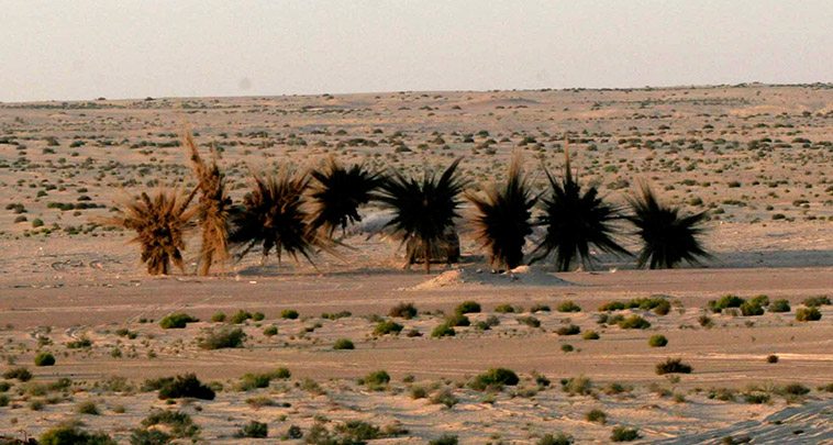 Lacroix Defense - Solutions Terre - Autoprotection Soft-Kill